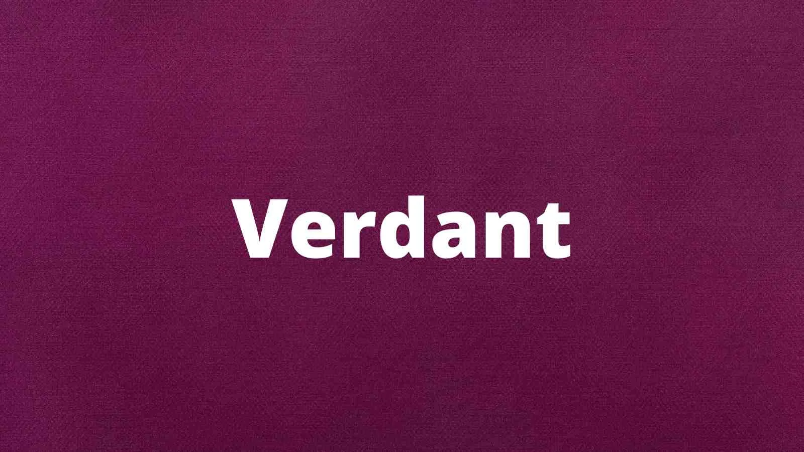 100 of the Most Beautiful Words in the English Language